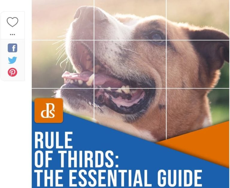 20+ Blog Post Examples to Inspire (& Kickstart) Your Creativity